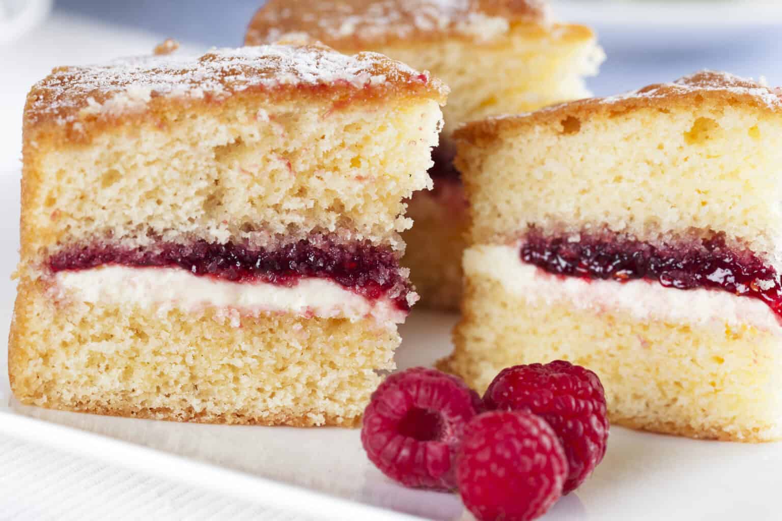 National Spongecake Day (August 23) - Weird Holidays