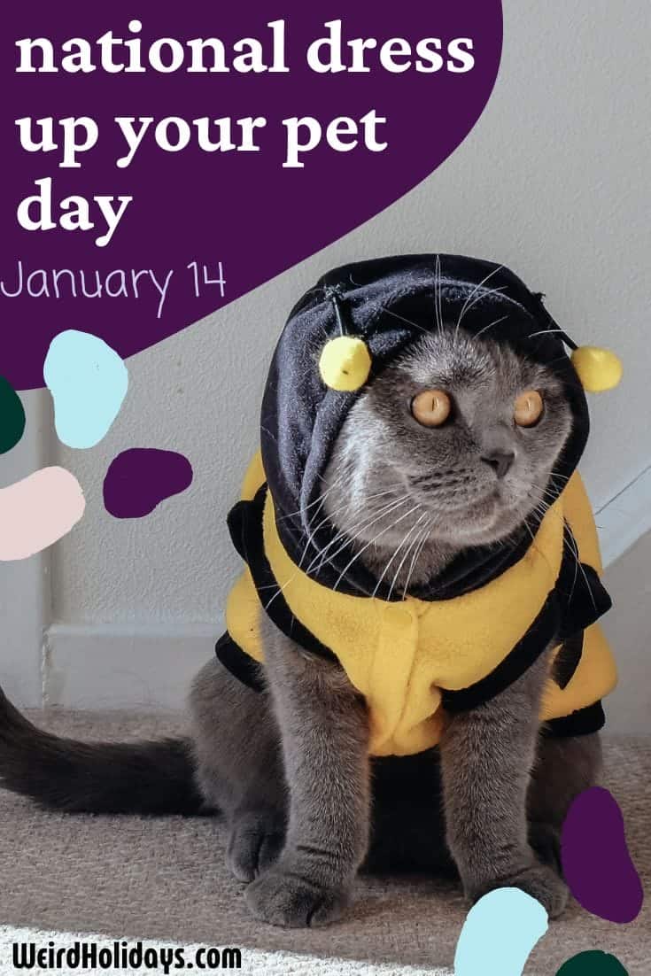 National Dress Up Your Pet Day (January 14) - Weird Holidays