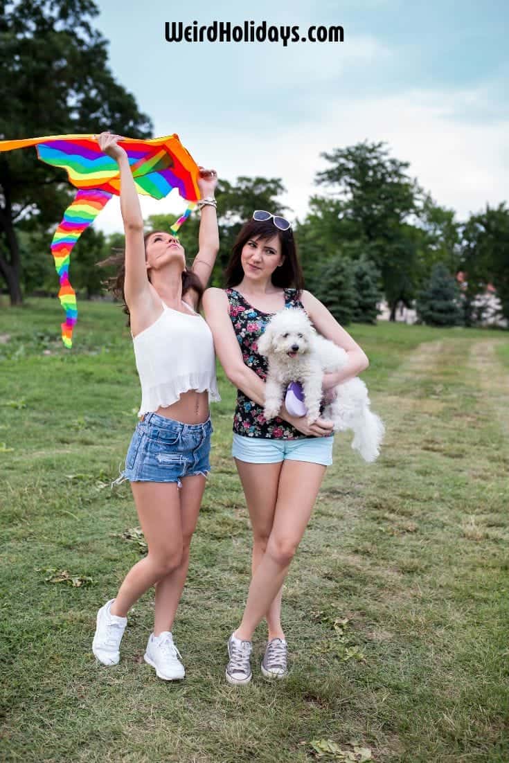 Go Fly A Kite Day (3rd Sunday in April) - Weird Holidays