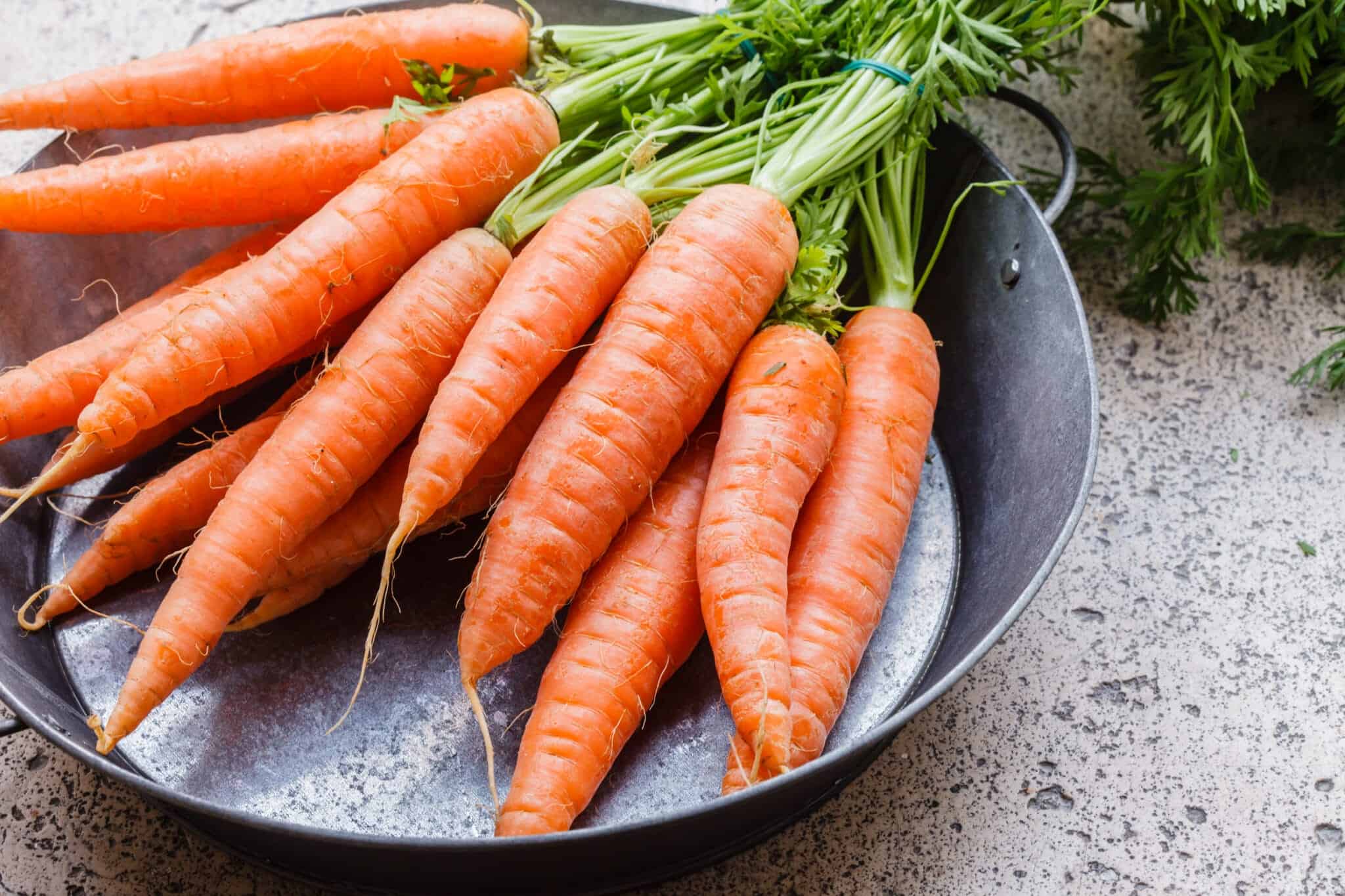 International Carrot Day (April 3) | Coloring Page, Recipes & Facts