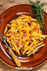 National Cheddar Fries Day (April 20) - Weird Holidays