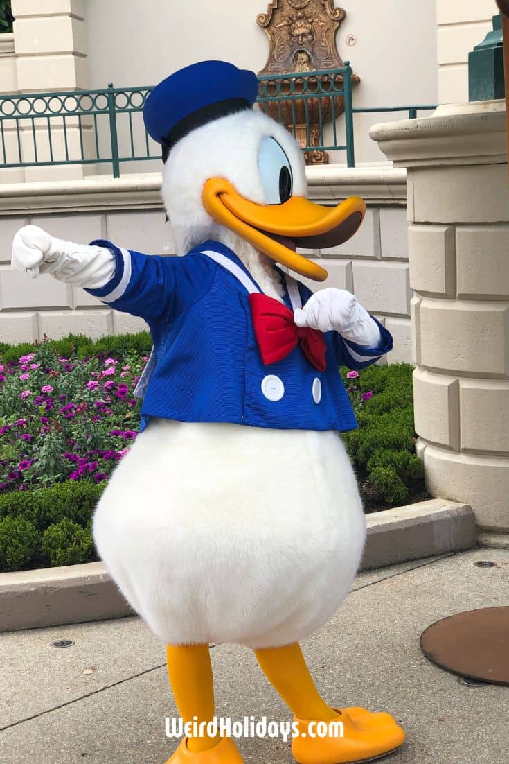 National Donald Duck Day (June 9) - Weird Holidays