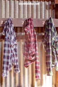 National Flannel Day (February 10) - Weird Holidays