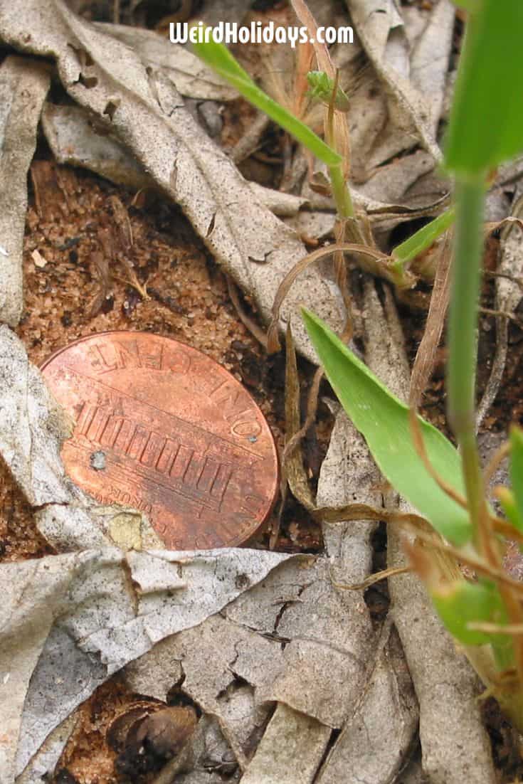 National Lucky Penny Day: History, Facts & Ways to Celebrate