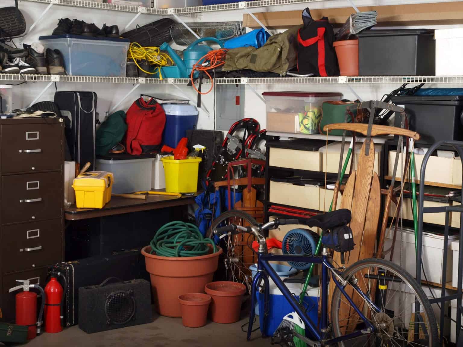 National Pack Rat Day: Facts, History and Fun Ways to Celebrate