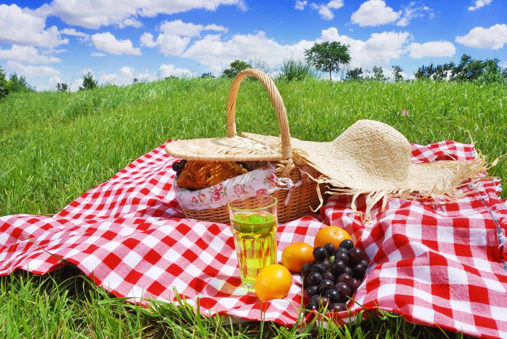 National Picnic Day (April 23) - Weird Holidays