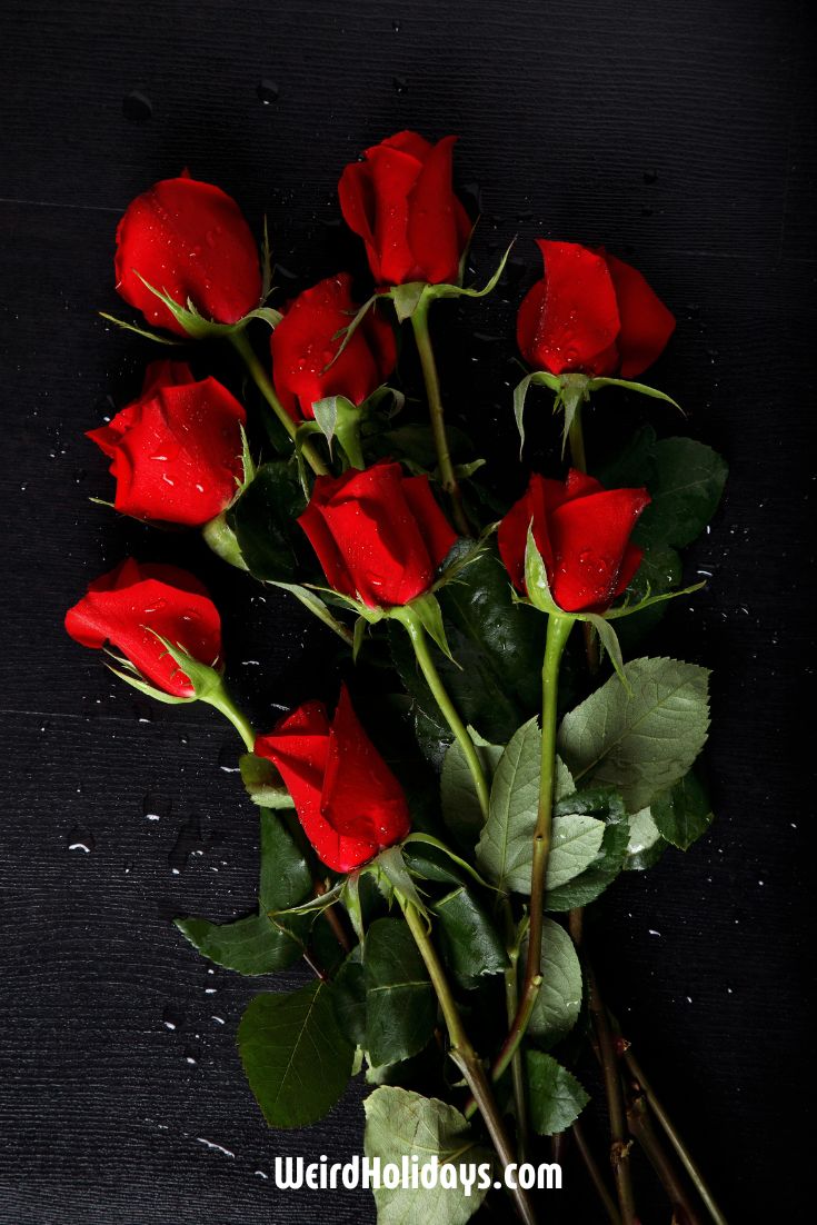 National Red Rose Day (June 12) - Weird Holidays