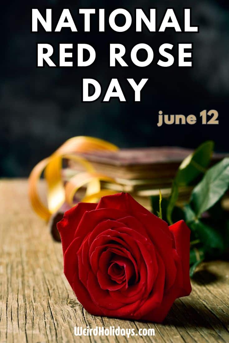 National Red Rose Day (June 12) - Weird Holidays