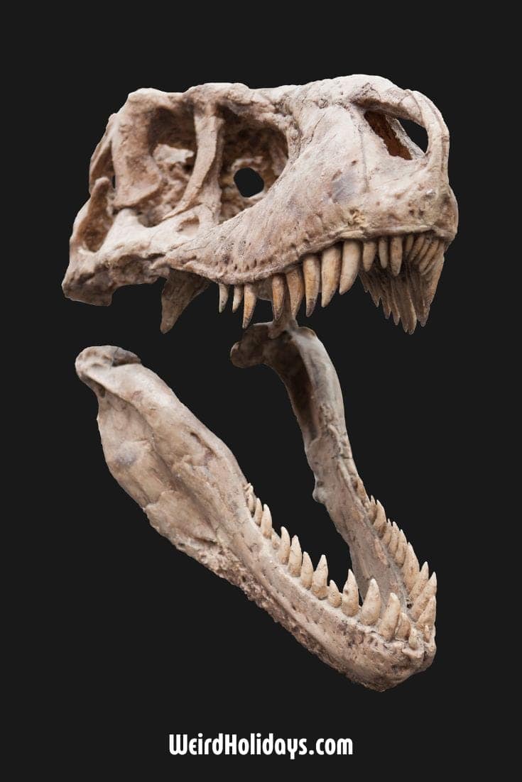 National Velociraptor Awareness Day (April 18) - Weird Holidays