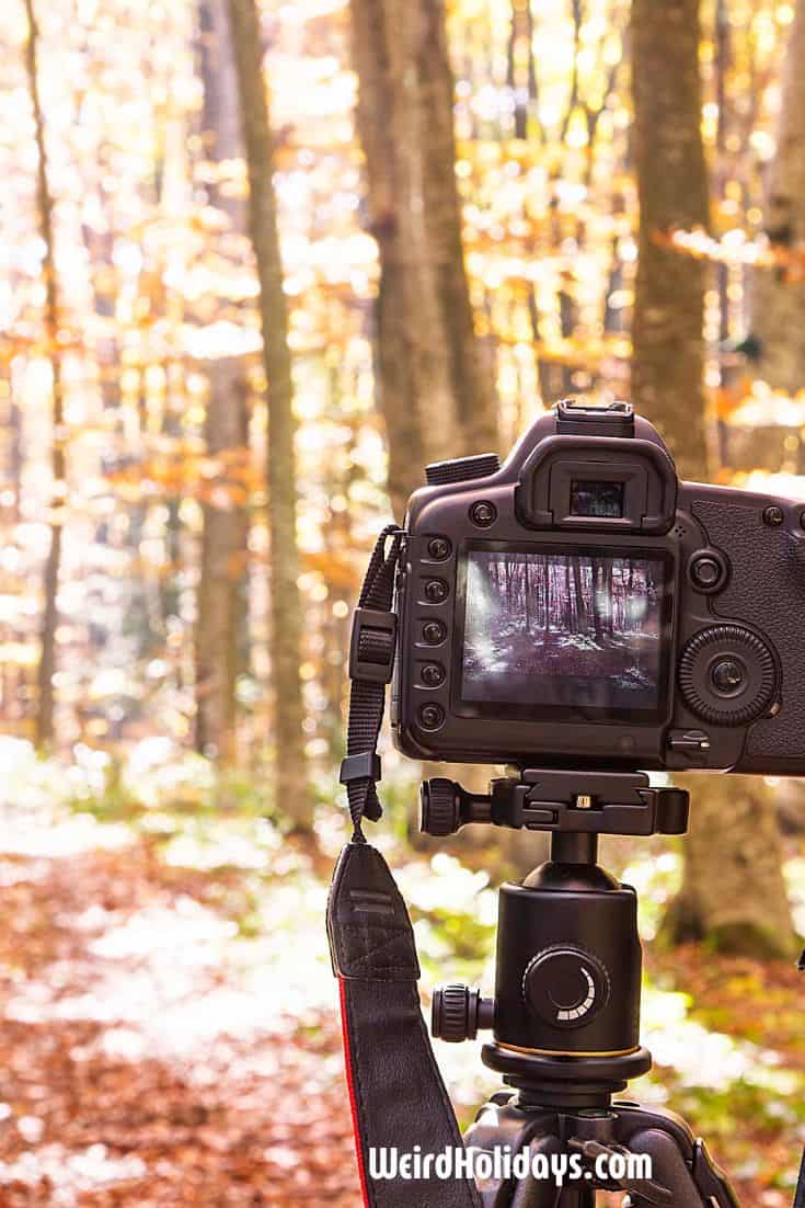 Nature Photography Day (June 15) - Weird Holidays