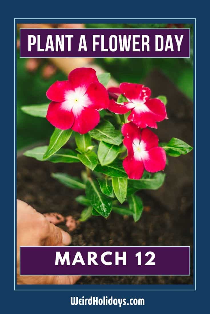 National Plant a Flower Day (March 12) - Weird Holidays