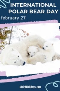 International Polar Bear Day (February 27) | Free Coloring Page