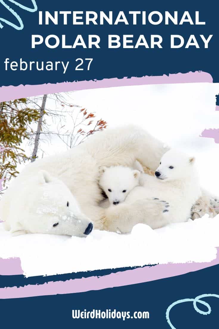 International Polar Bear Day (February 27) - Weird Holidays