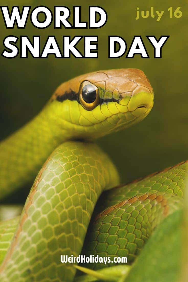 World Snake Day (July 16) - Weird Holidays